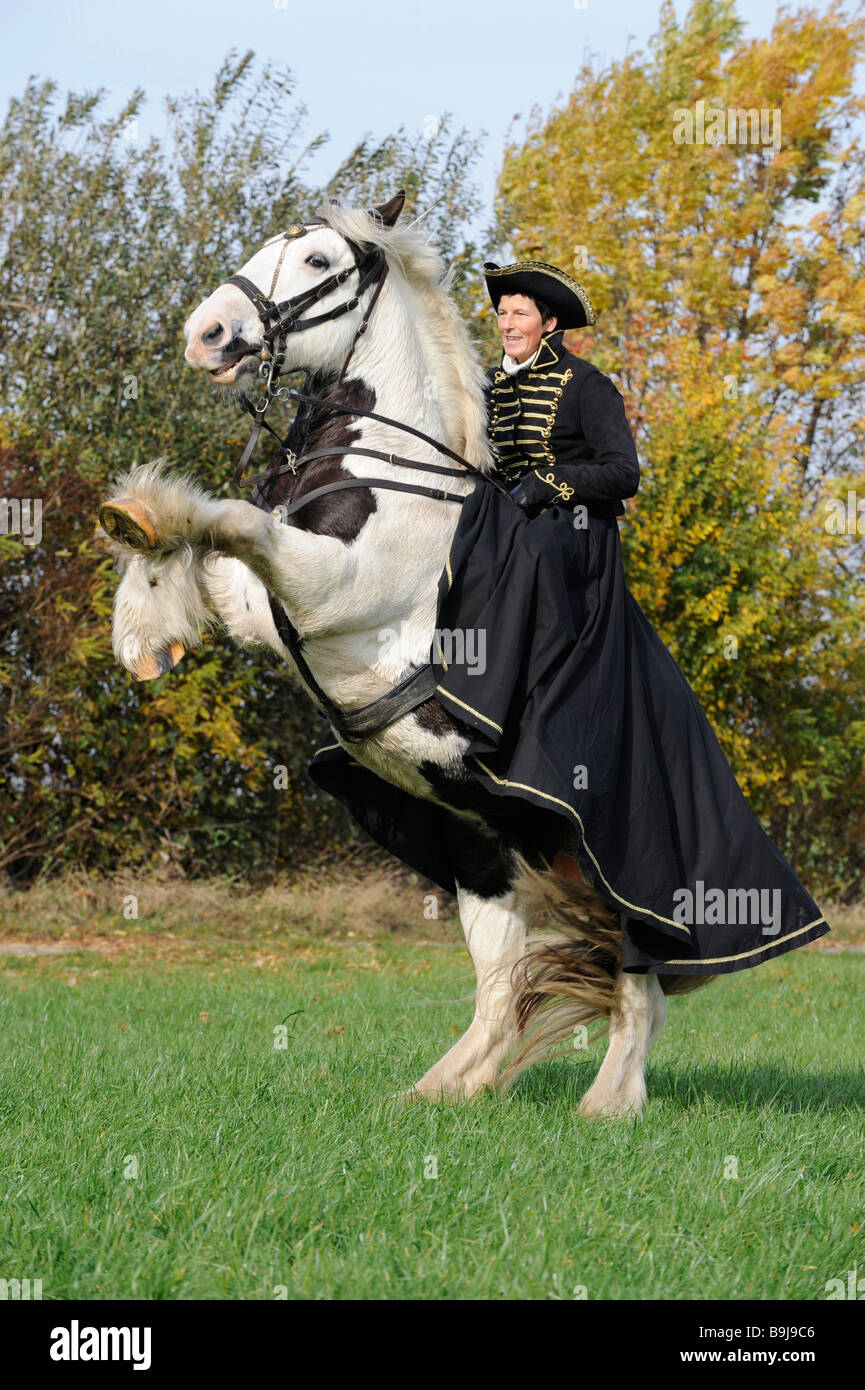 Horse Standing On Hind Legs Stockfotos & Horse Standing On Hind Legs ...