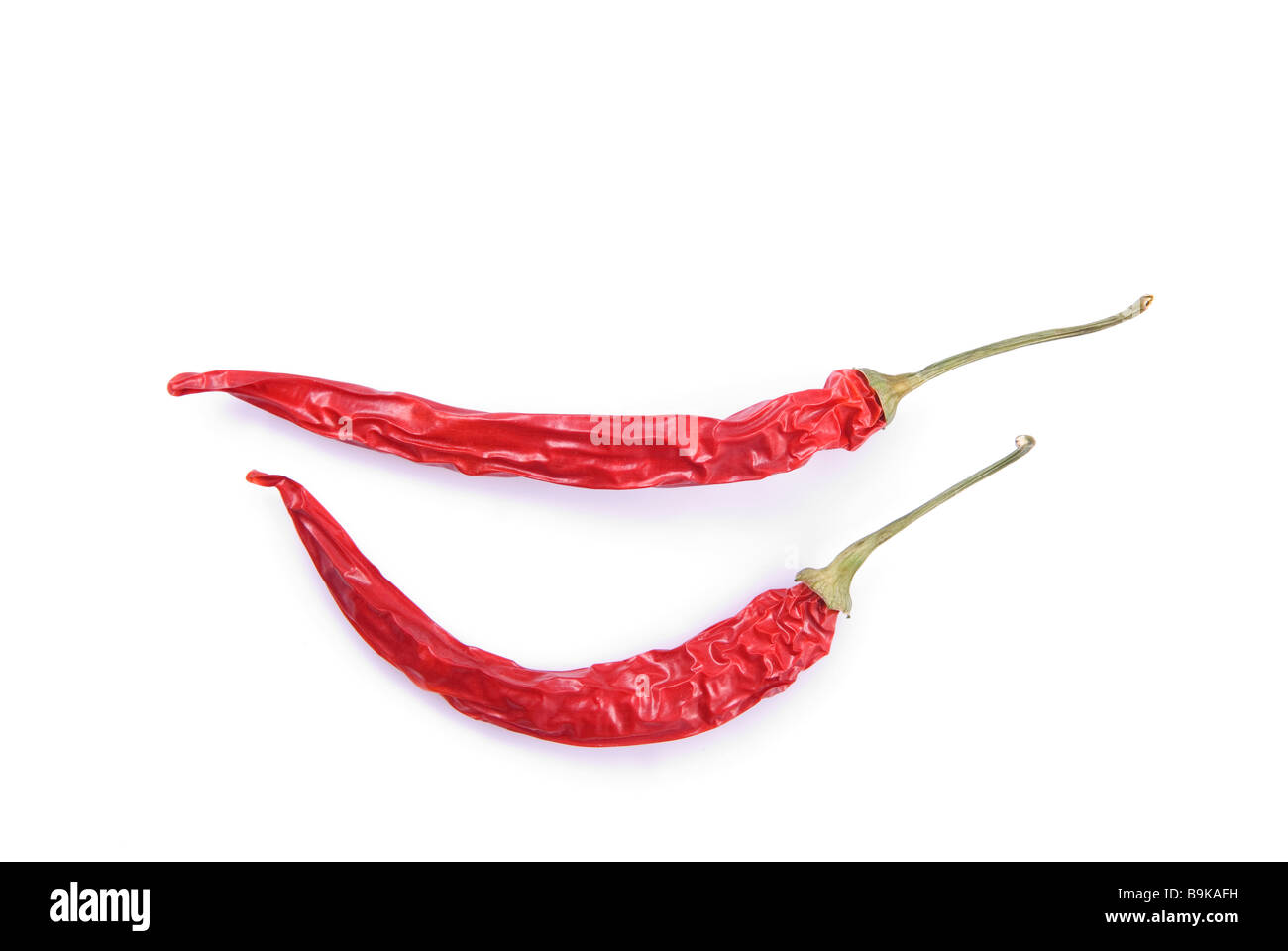 Trockene rote Chilischote, vor einem weißen Hintergrund isoliert ...