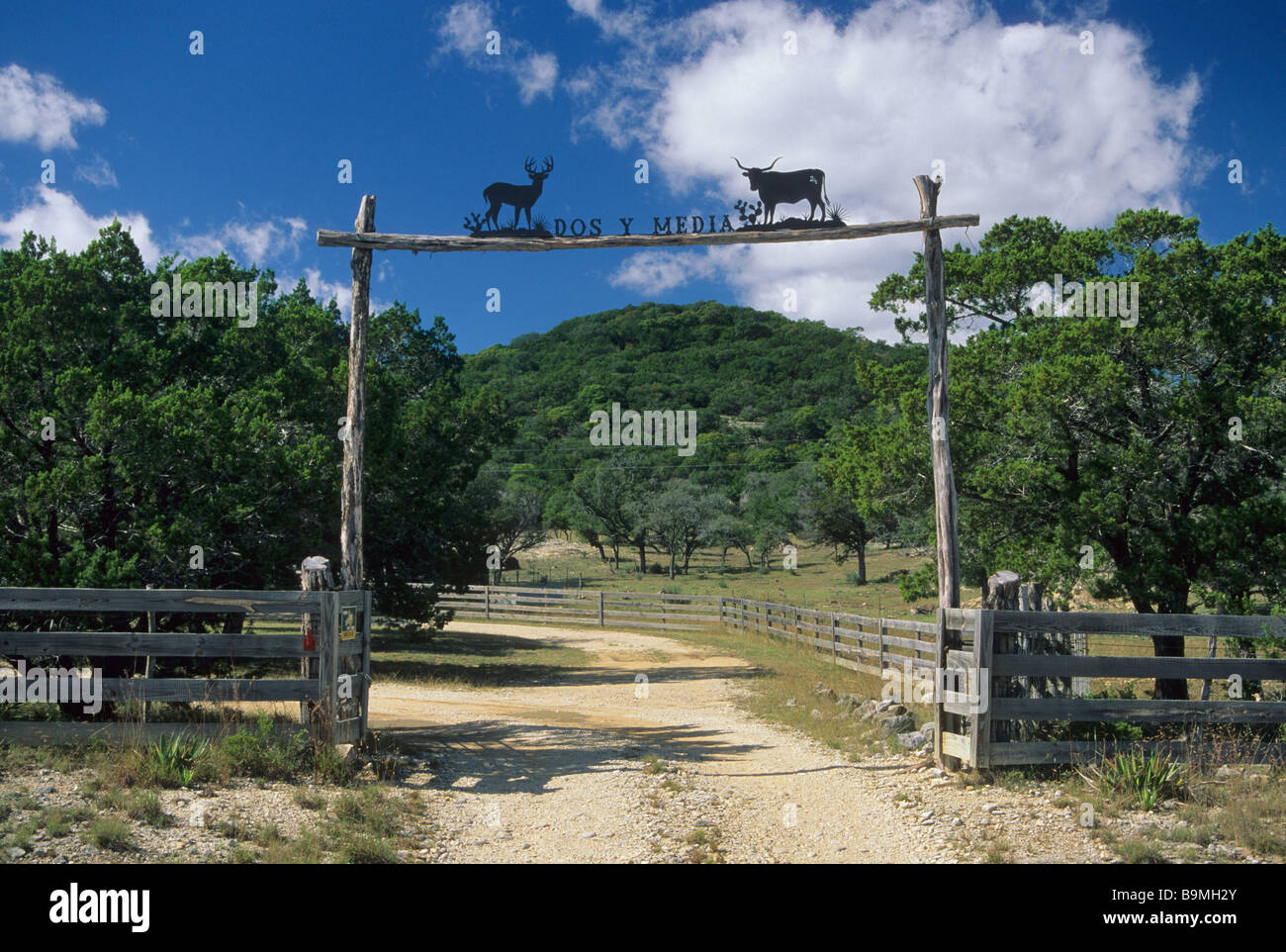 Cattle farming usa texas -Fotos und -Bildmaterial in hoher Auflösung ...