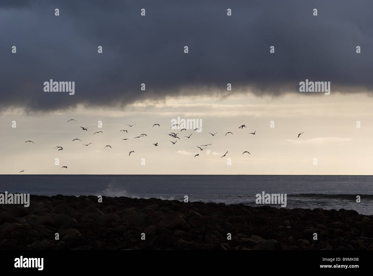 Dunkel düster -Fotos und -Bildmaterial in hoher Auflösung – Alamy
