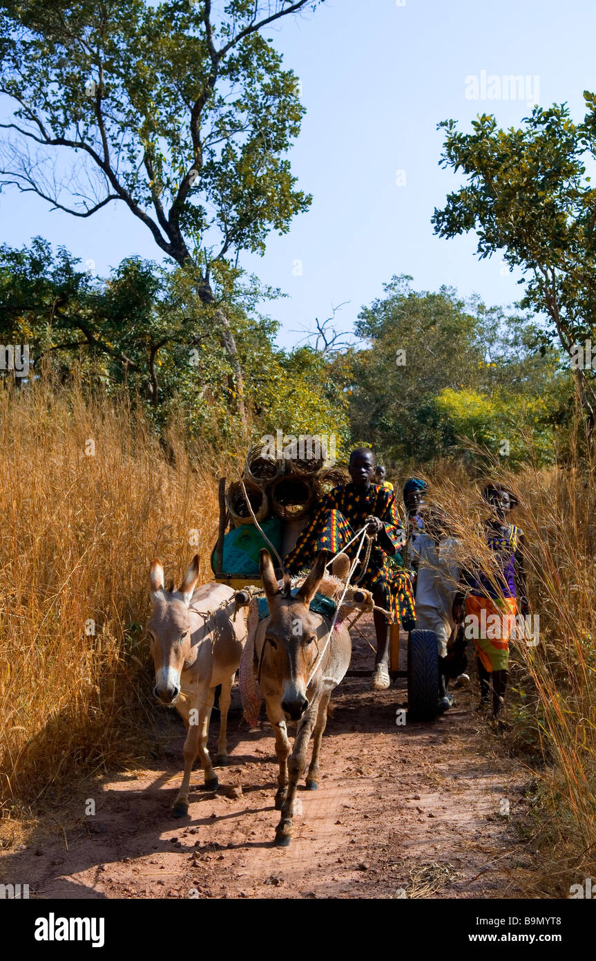 Senegal, tambacounda region -Fotos und -Bildmaterial in hoher Auflösung ...