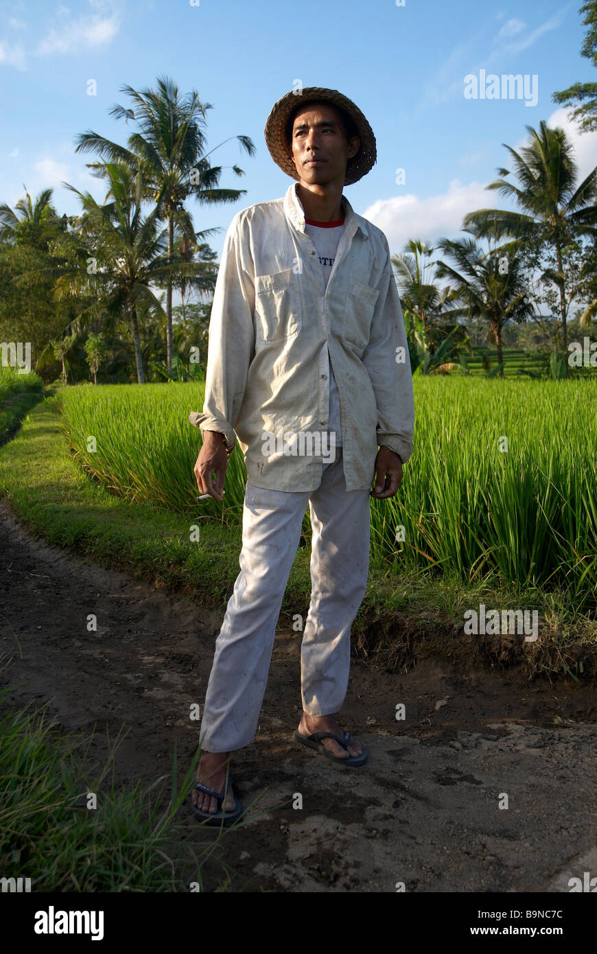 Balinesischer reisbauer -Fotos und -Bildmaterial in hoher Auflösung – Alamy