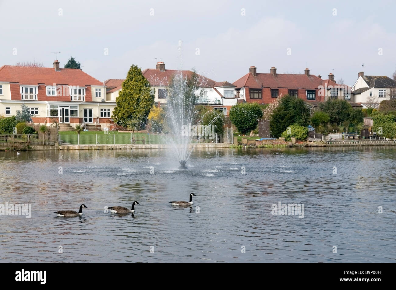 Landschaft raphael gidea park -Fotos und -Bildmaterial in hoher ...