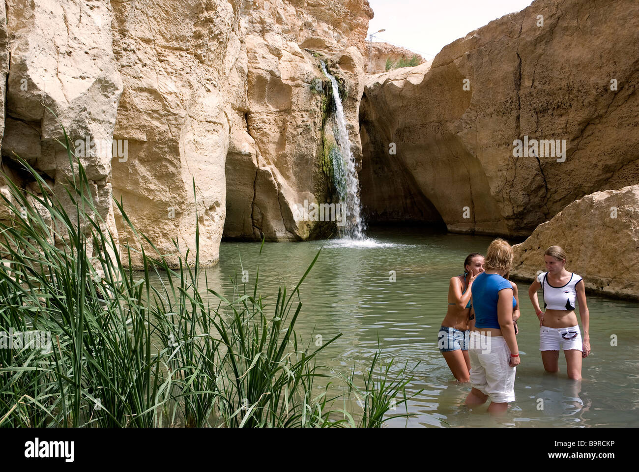 Waterfall Tamerza Oasis Tunisia Stockfotos und -bilder Kaufen - Alamy