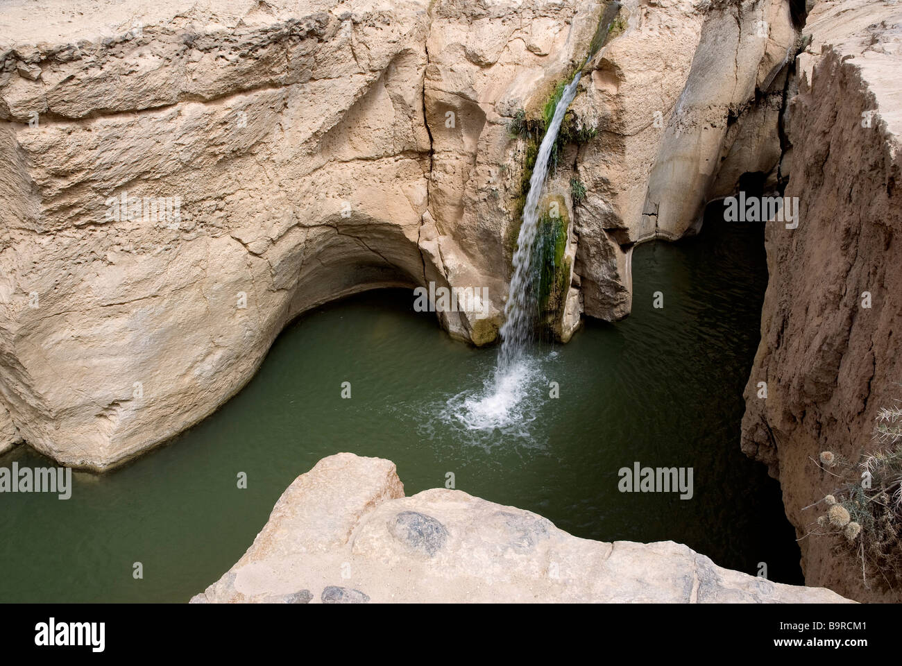 Waterfall Tamerza Oasis Tunisia Stockfotos und -bilder Kaufen - Alamy