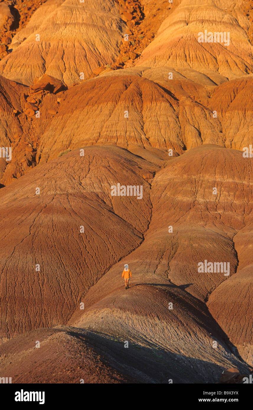 Wanderer in den Badlands Chinle nahe der Paria River im Grand Treppe ...