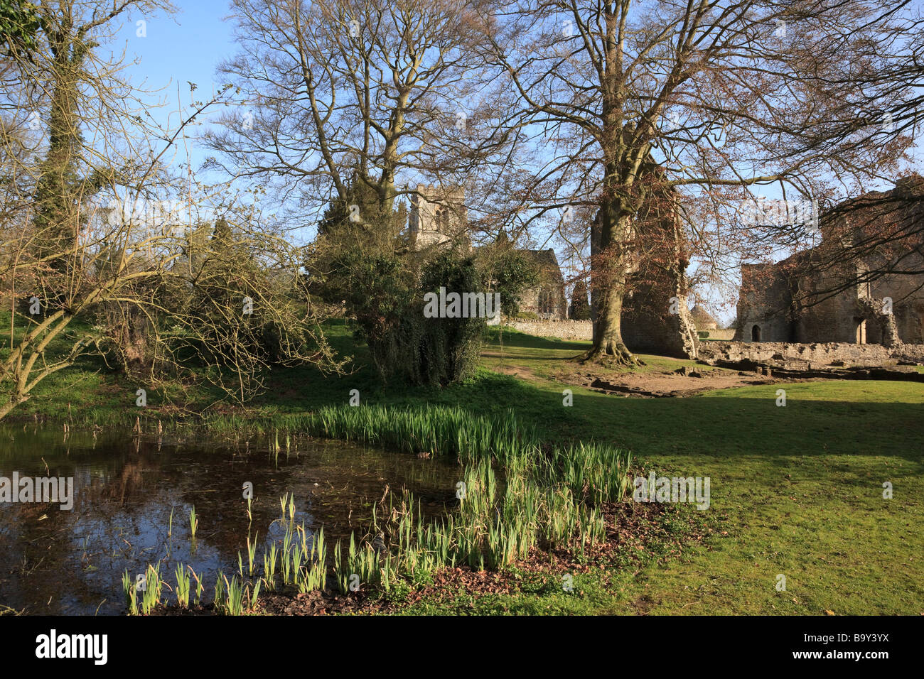 Ententeich und Iris Minster Lovell Halle von Herrn William Lovell ...