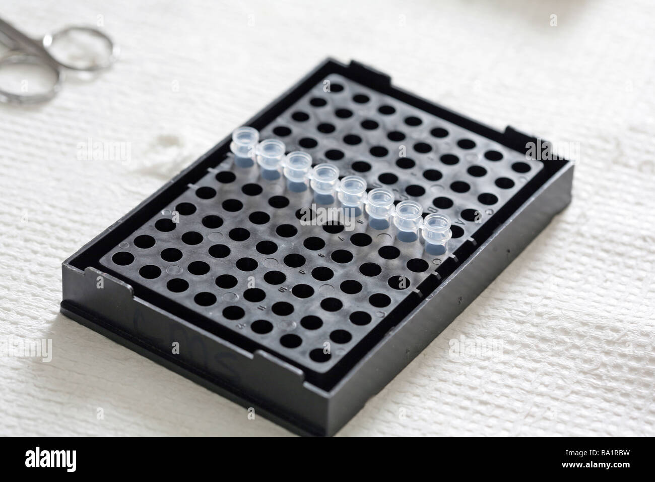 Pcr Rohr Stockfotos und -bilder Kaufen - Alamy