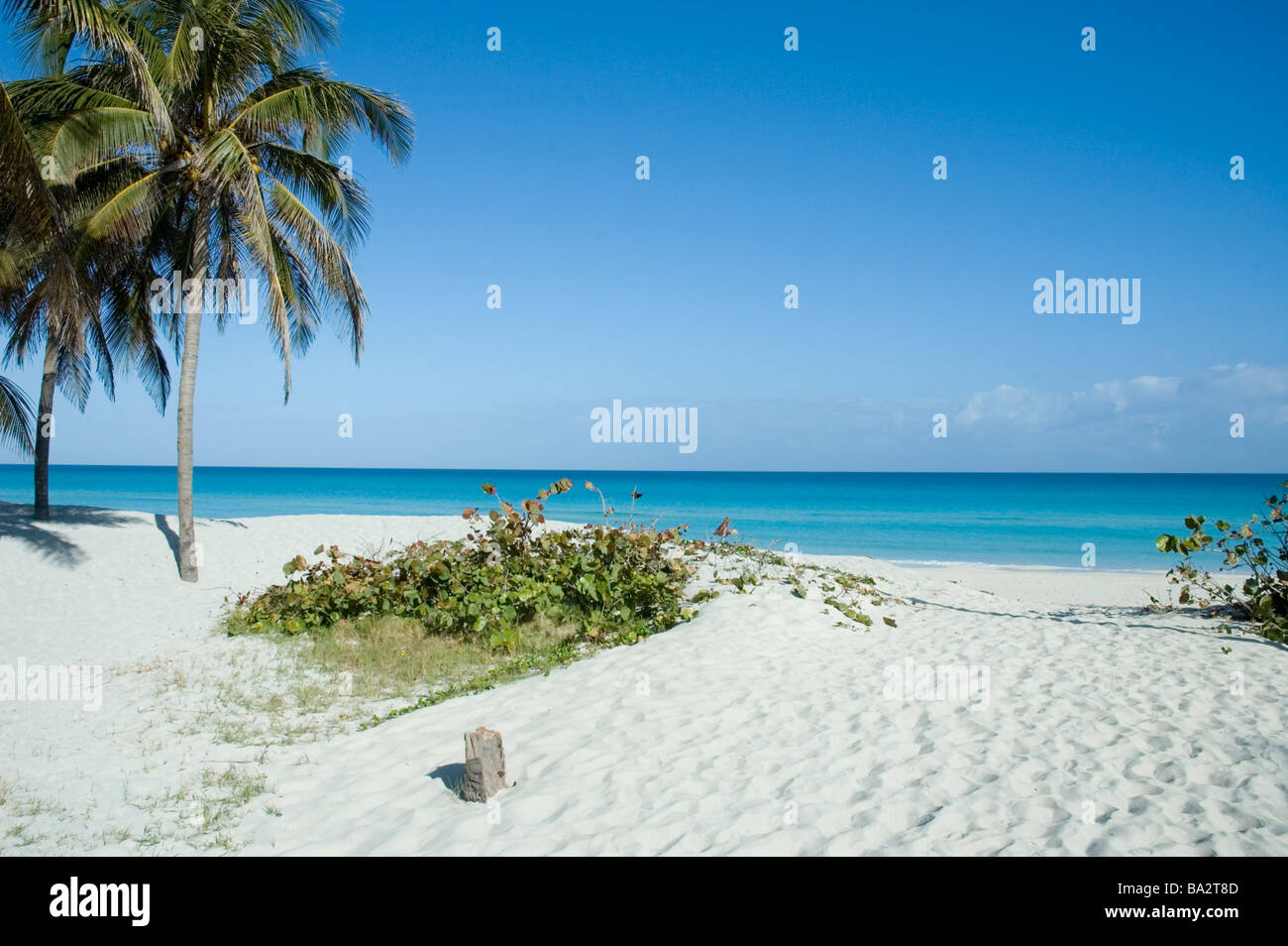 Insel von kuba -Fotos und -Bildmaterial in hoher Auflösung – Alamy