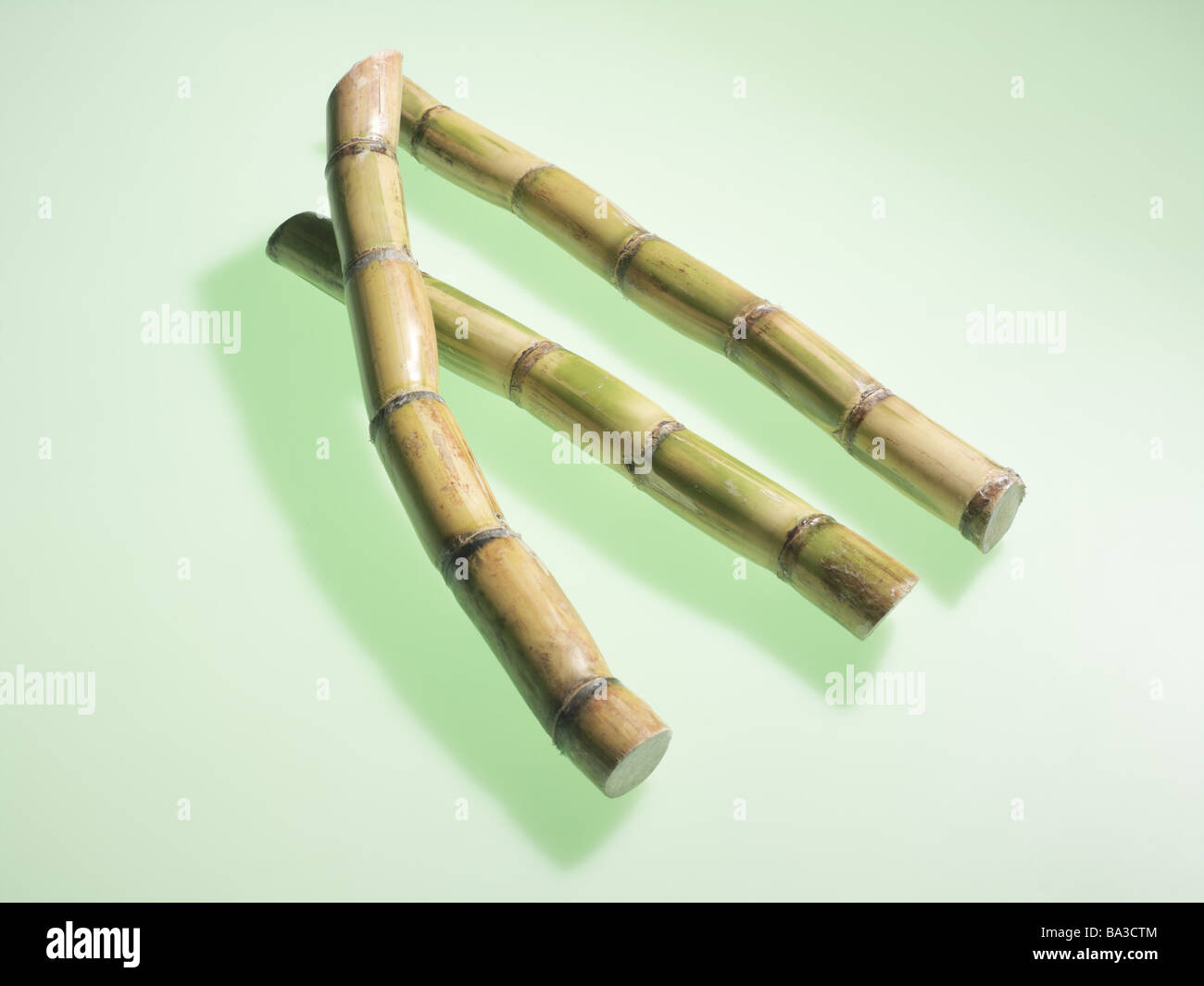 Zuckerrohr pflanze -Fotos und -Bildmaterial in hoher Auflösung – Alamy