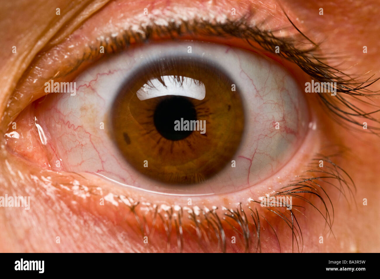 Der augen -Fotos und -Bildmaterial in hoher Auflösung – Alamy