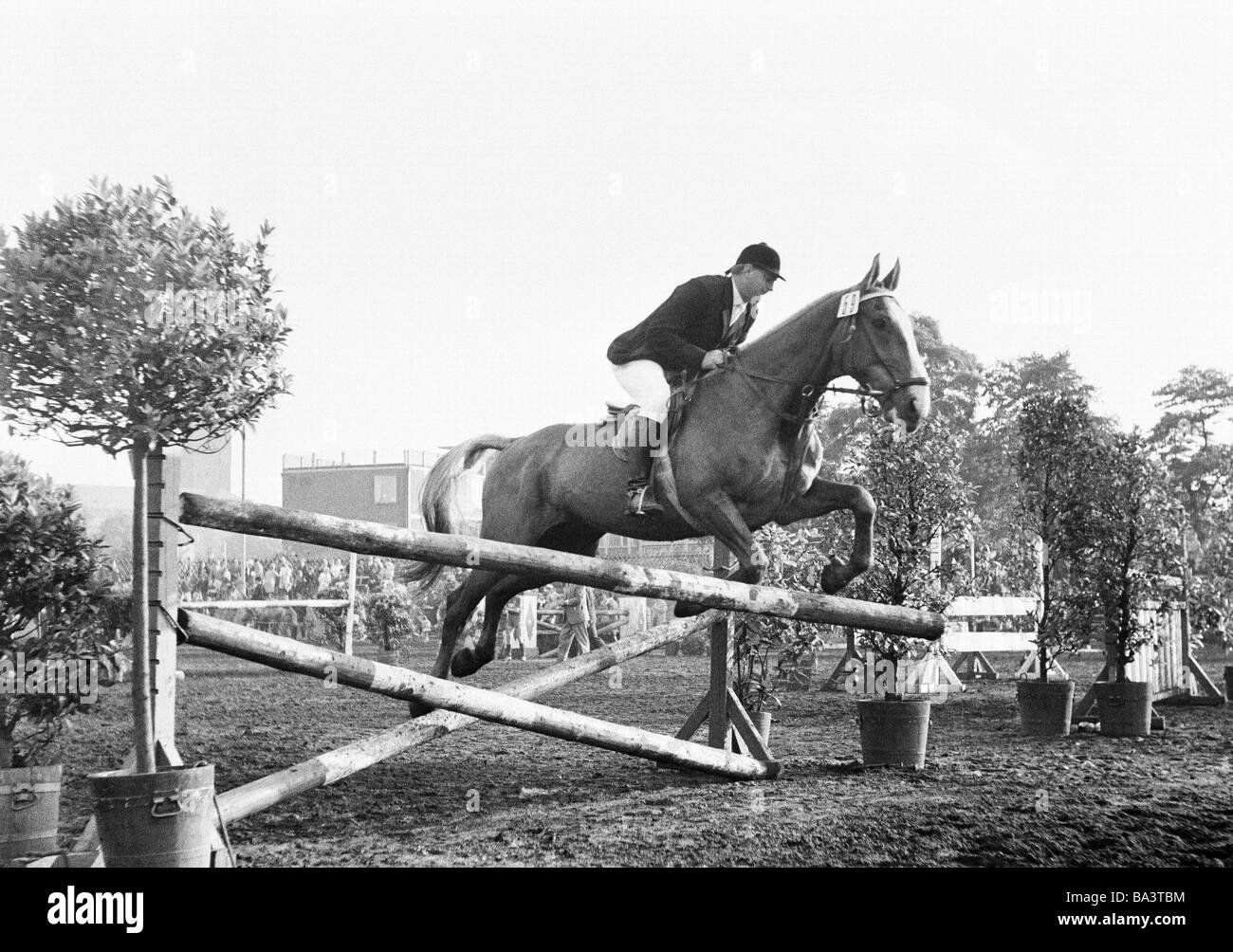 Sechziger Jahre, schwarz / weiß Foto, Sport, Pferdesport, Pferd zeigen ...
