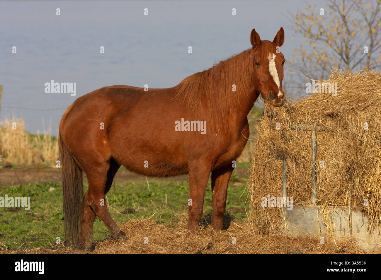 Essen im freien irland -Fotos und -Bildmaterial in hoher Auflösung – Alamy