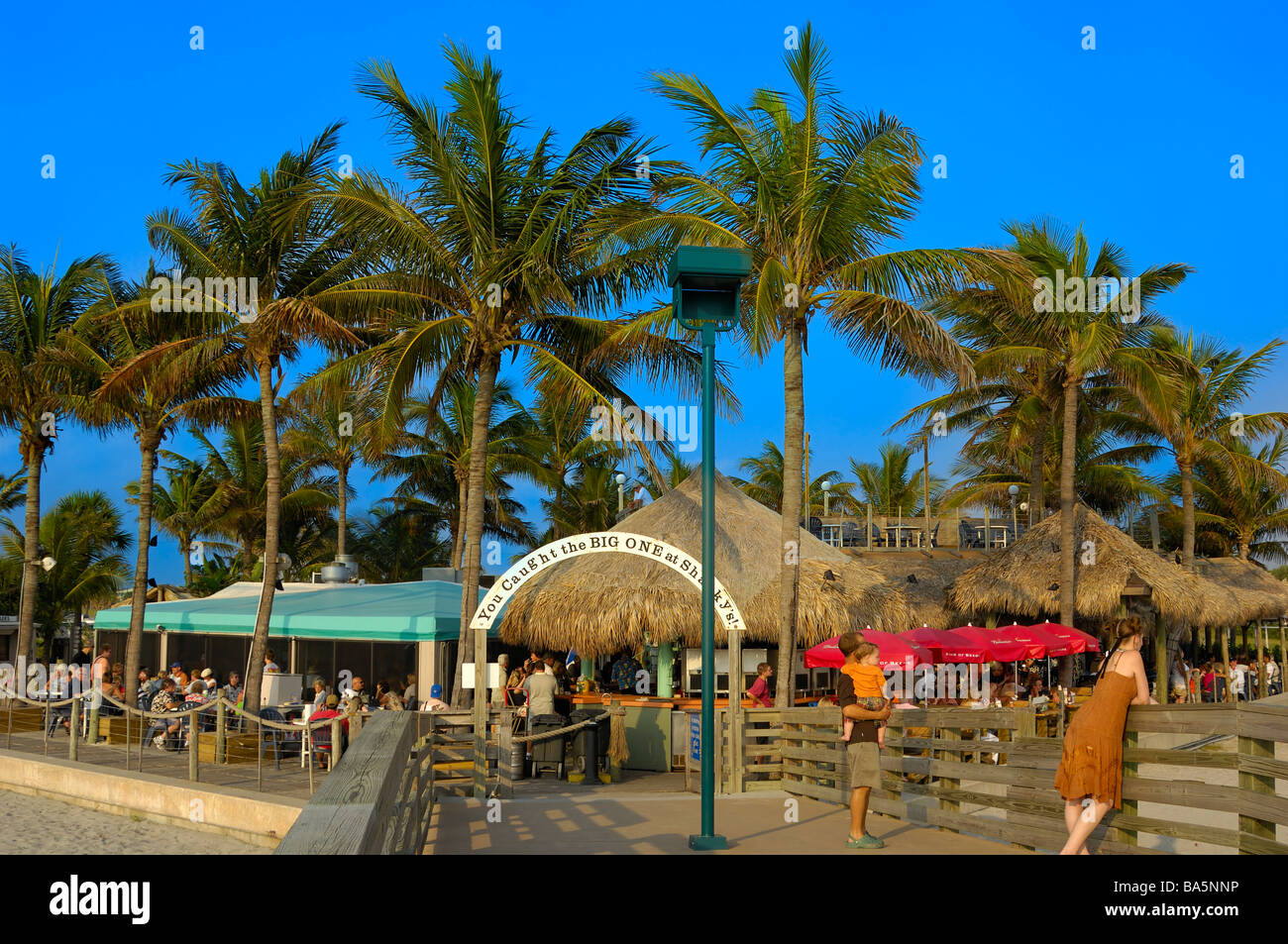 Venice florida beach -Fotos und -Bildmaterial in hoher Auflösung – Alamy