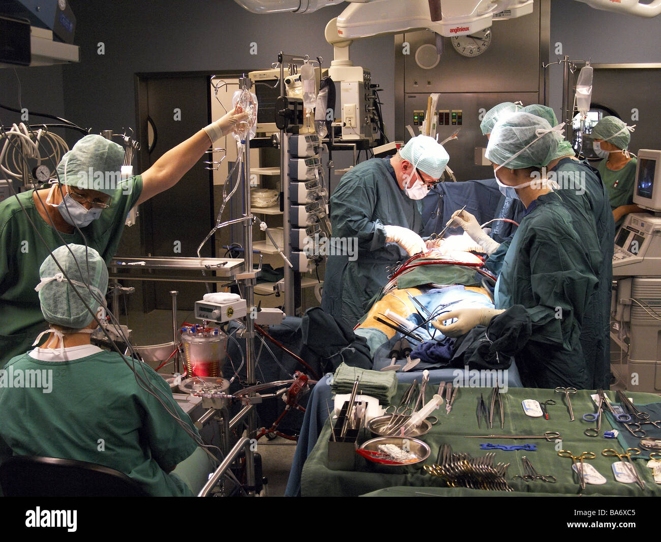 Intakt ernennen -Fotos und -Bildmaterial in hoher Auflösung – Alamy