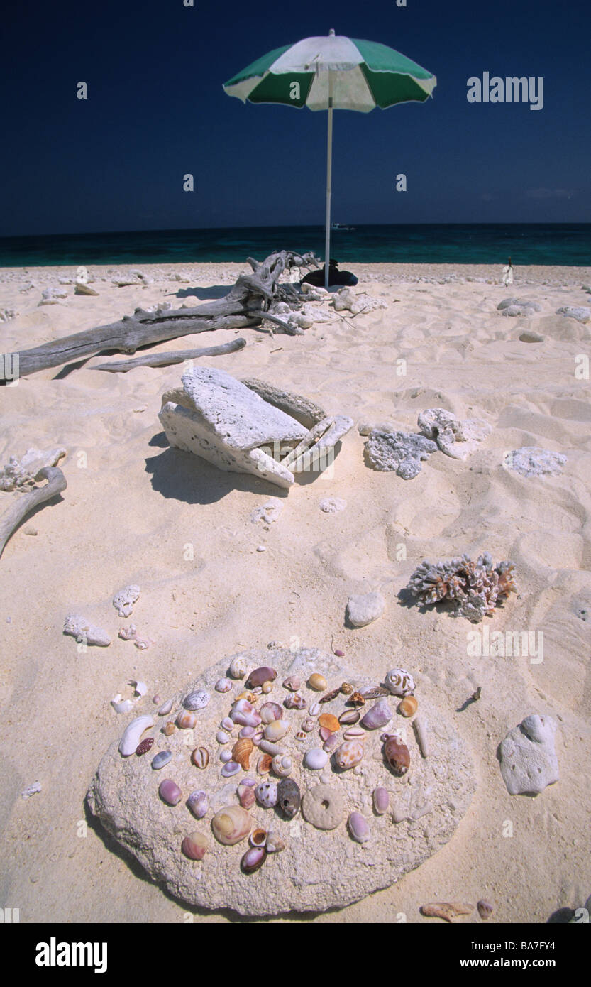 Sandstrand am Wilson Island, Nachbarinsel nach Heron Island, Wilson ...
