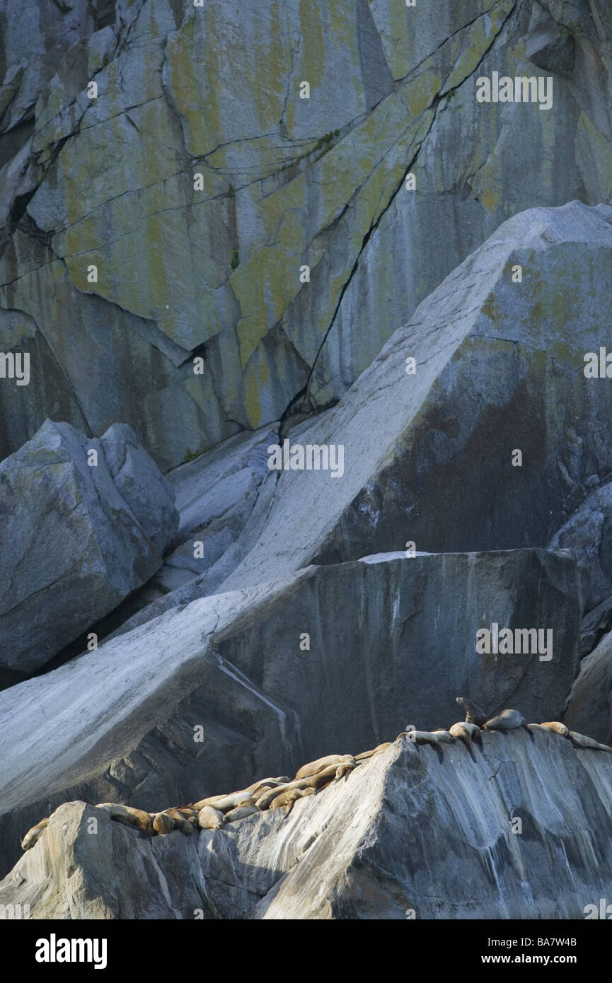 USA Alaska Kenaihalbinsel Kenai Fjords Nationalpark Chiswell Islands ...