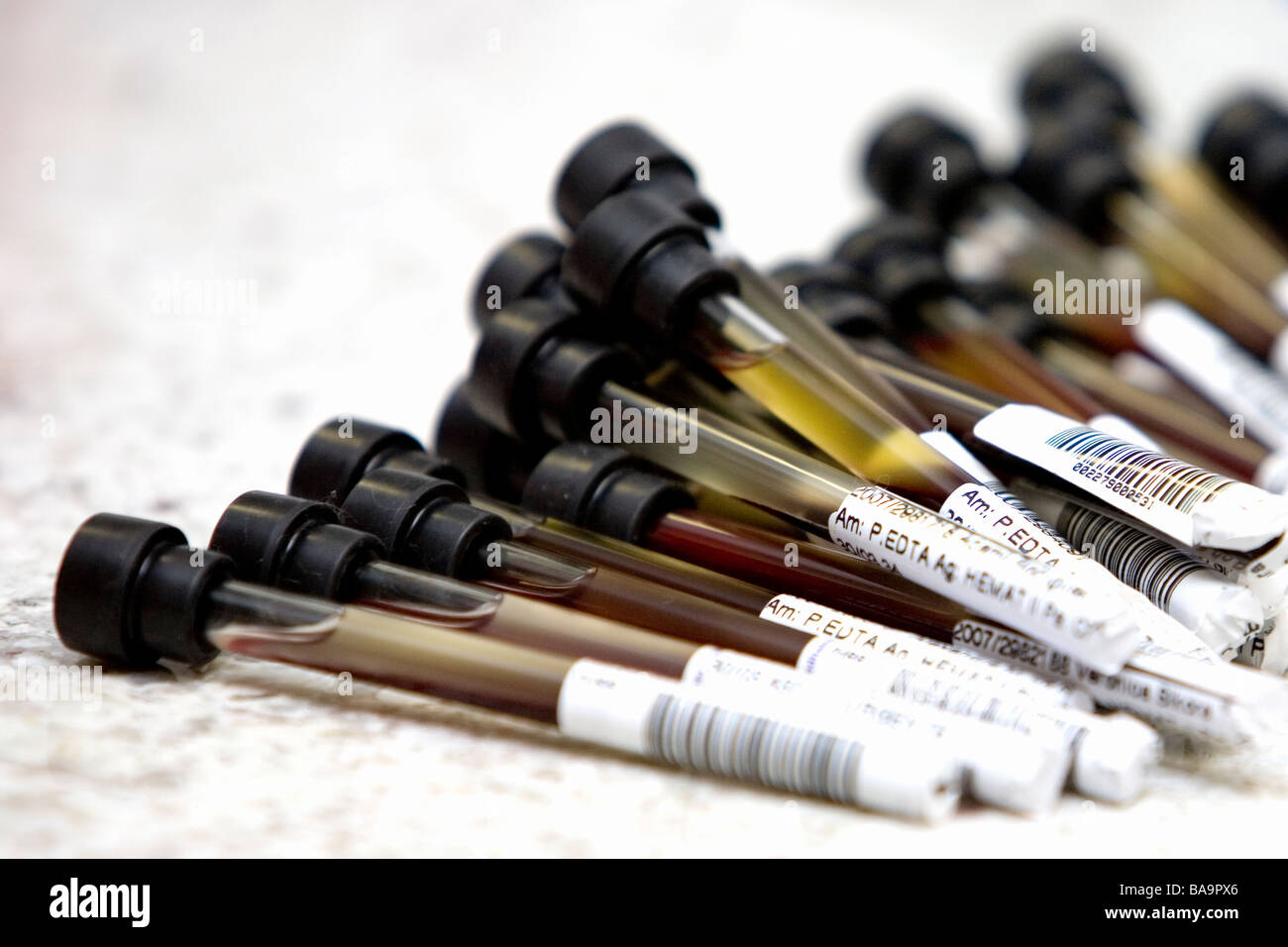 Muestras de laboratorio -Fotos und -Bildmaterial in hoher Auflösung – Alamy
