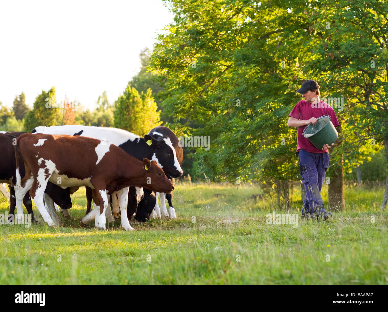 Alte bauern alm -Fotos und -Bildmaterial in hoher Auflösung – Alamy
