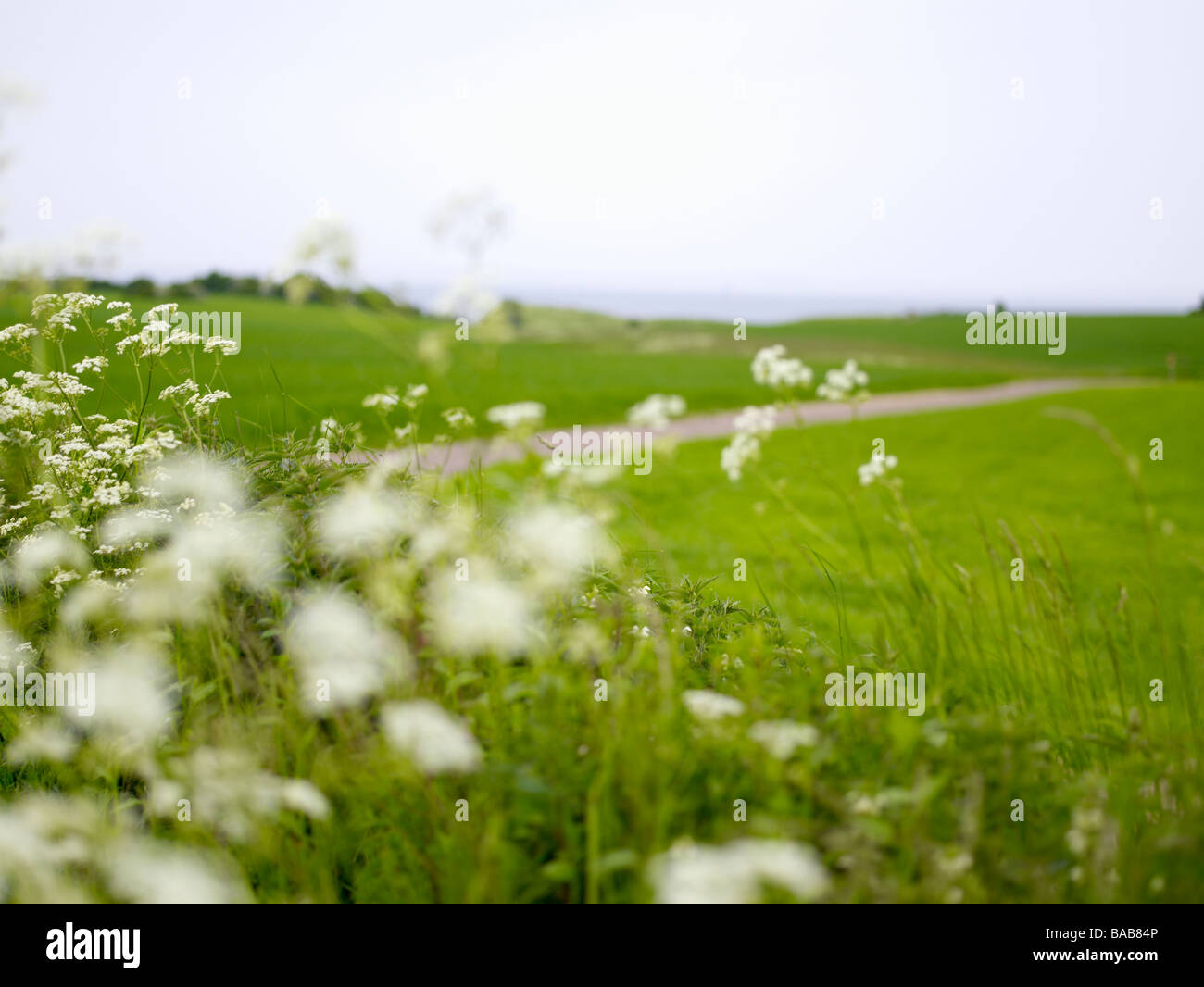 Insel ven schweden -Fotos und -Bildmaterial in hoher Auflösung – Alamy