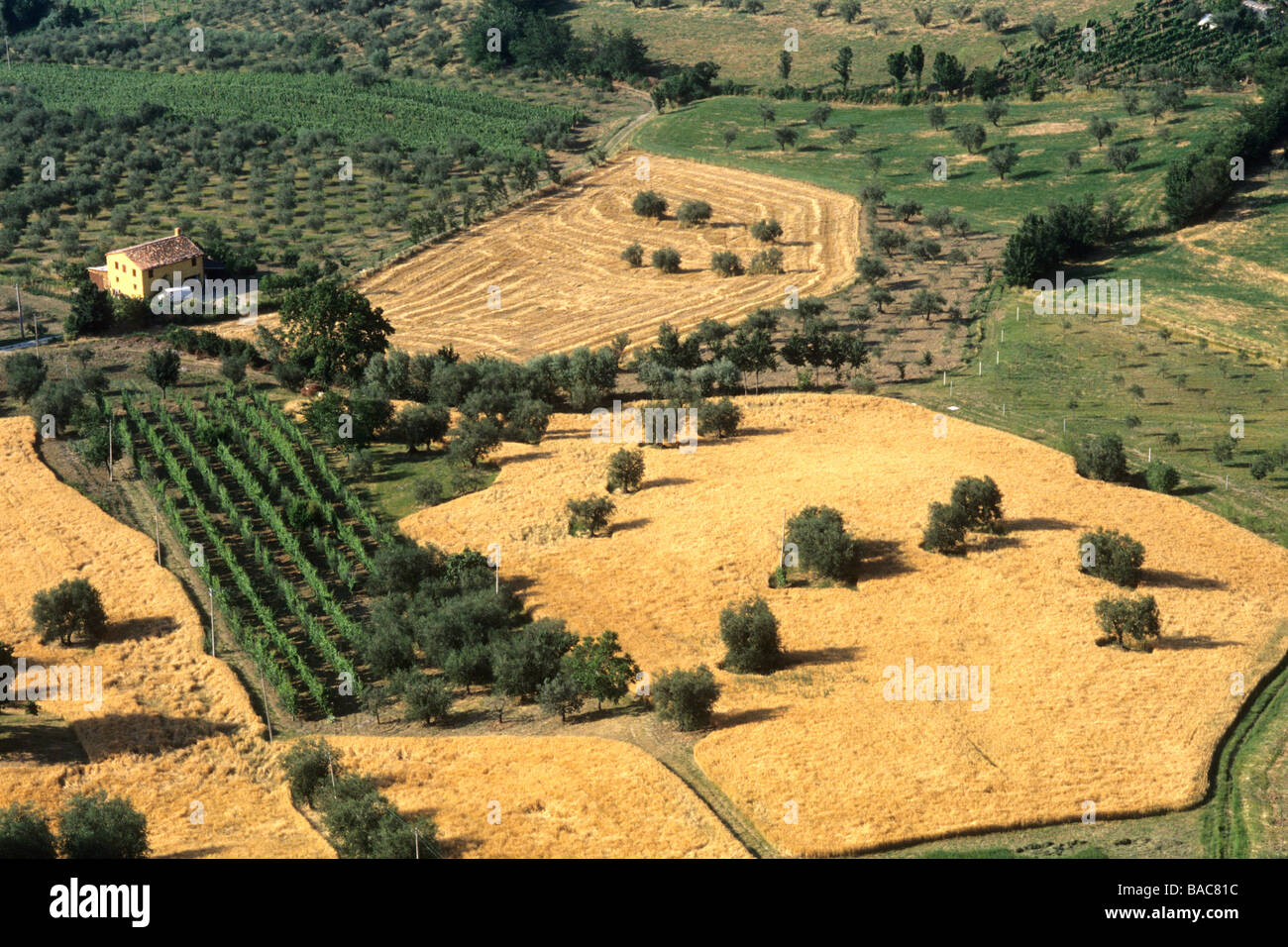 Verucchio rimini -Fotos und -Bildmaterial in hoher Auflösung – Alamy