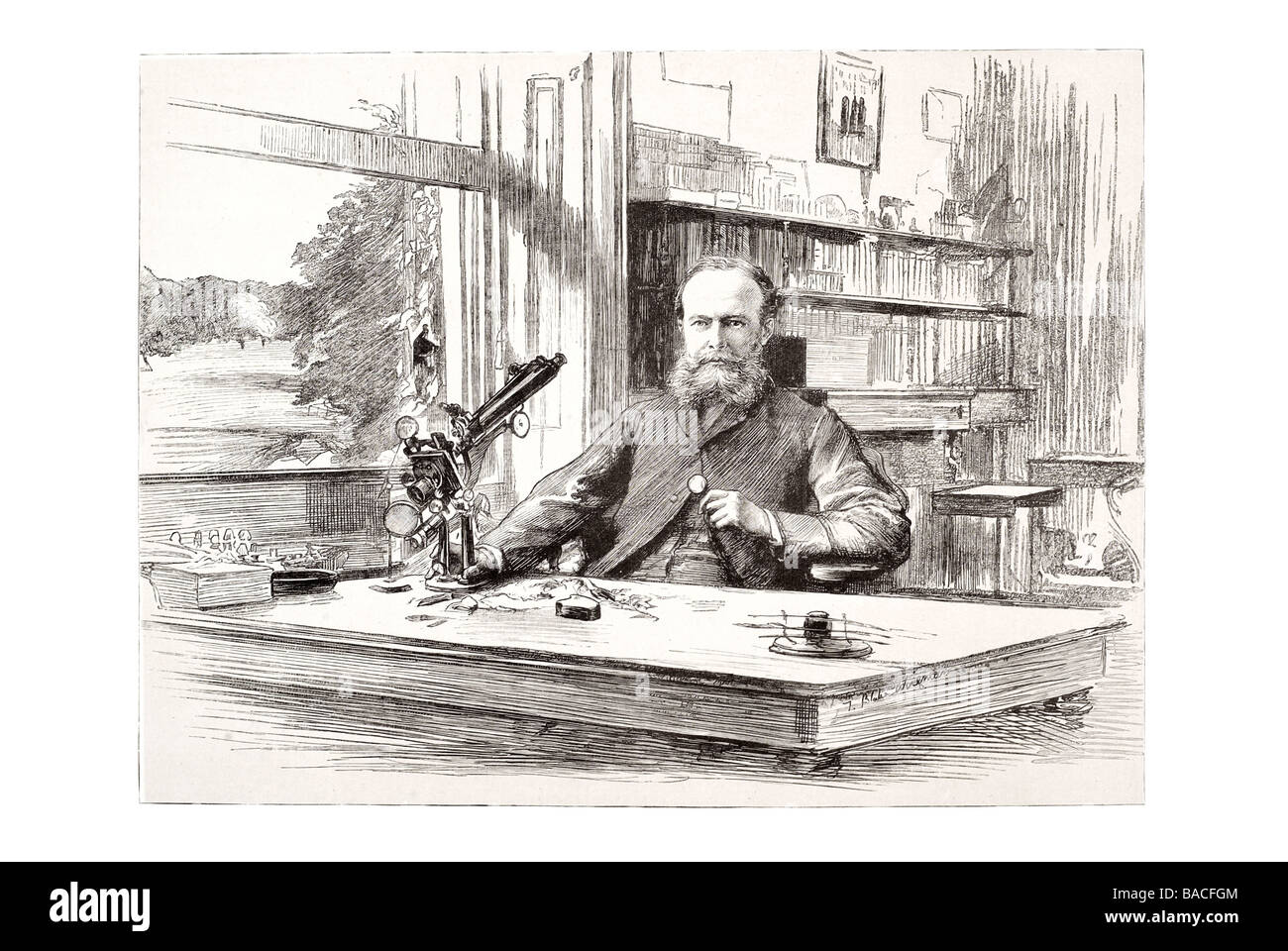 Politiker prominente -Fotos und -Bildmaterial in hoher Auflösung – Alamy