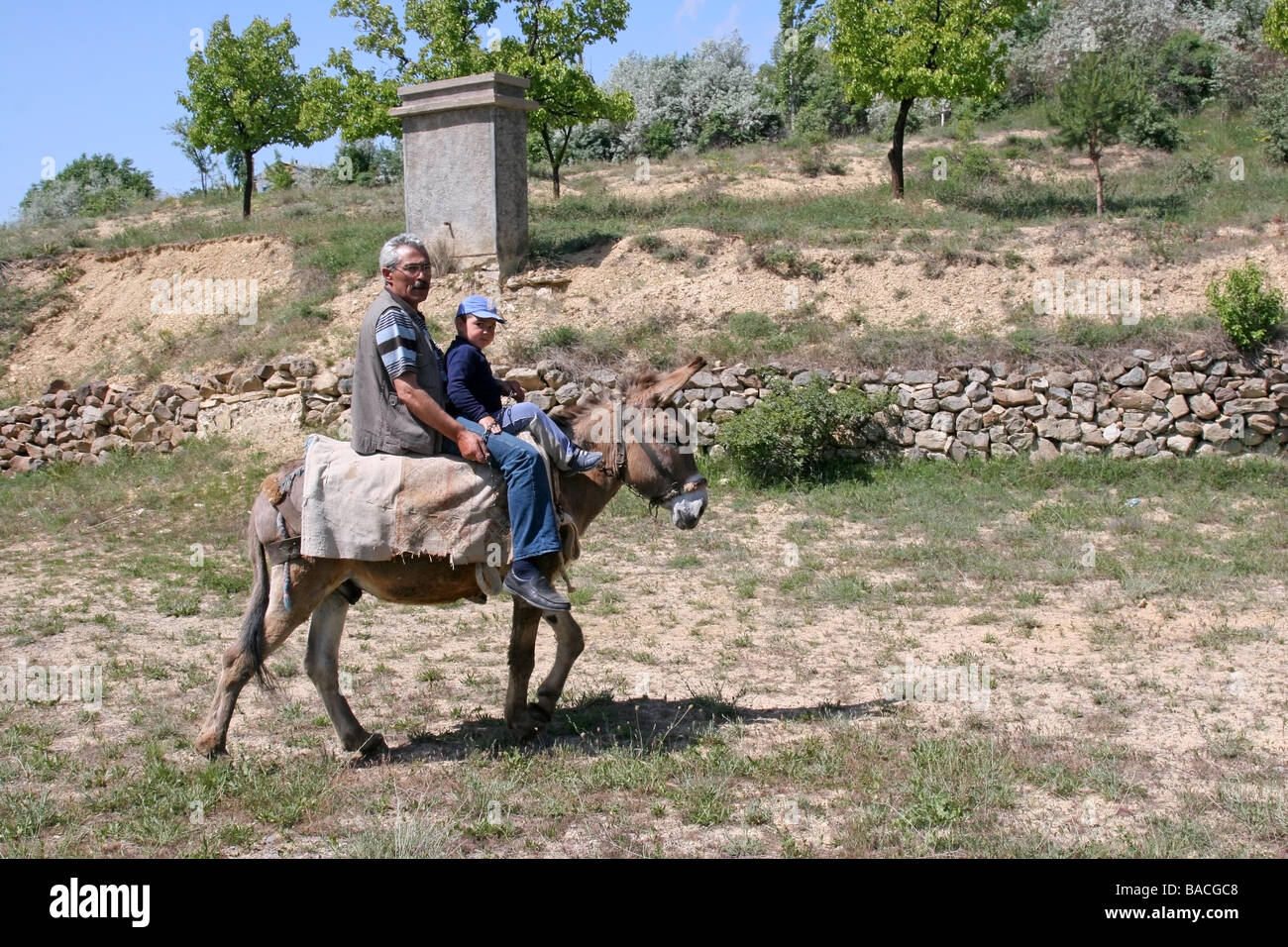 Alter esel Stockfotos und -bilder Kaufen - Alamy