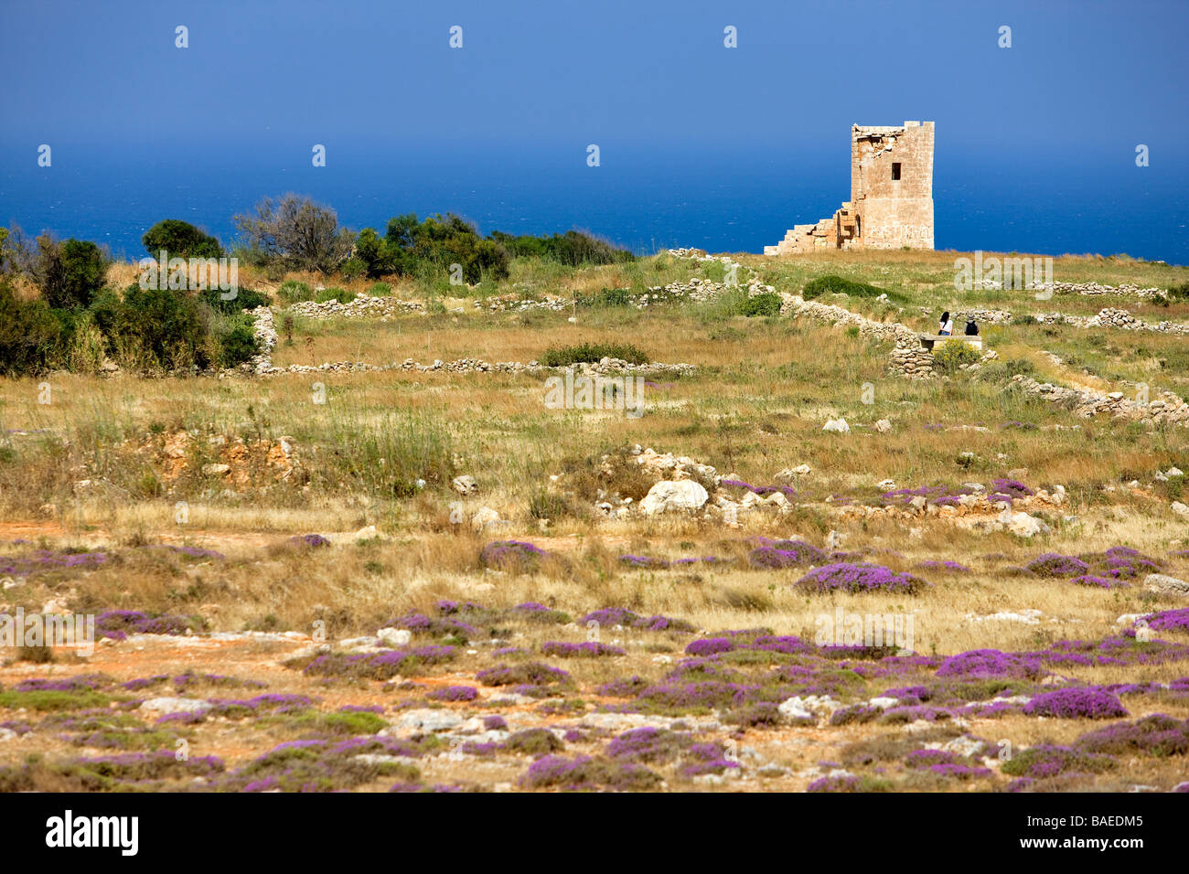Die halbinsel von marfa -Fotos und -Bildmaterial in hoher Auflösung – Alamy