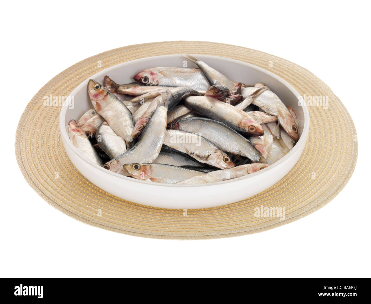 Sprotte schüssel -Fotos und -Bildmaterial in hoher Auflösung – Alamy