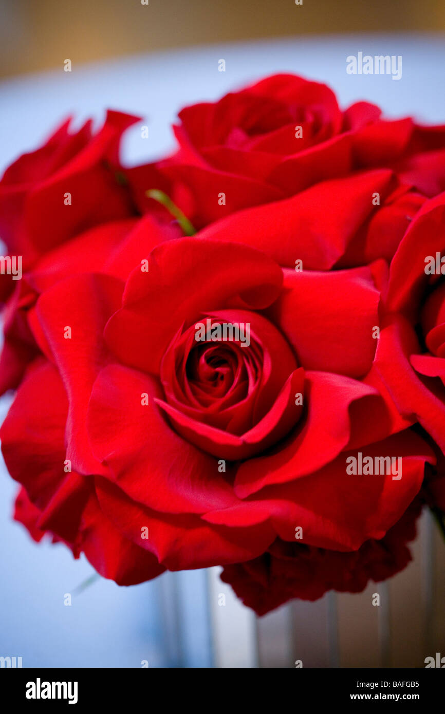 Hollywood stil -Fotos und -Bildmaterial in hoher Auflösung – Alamy