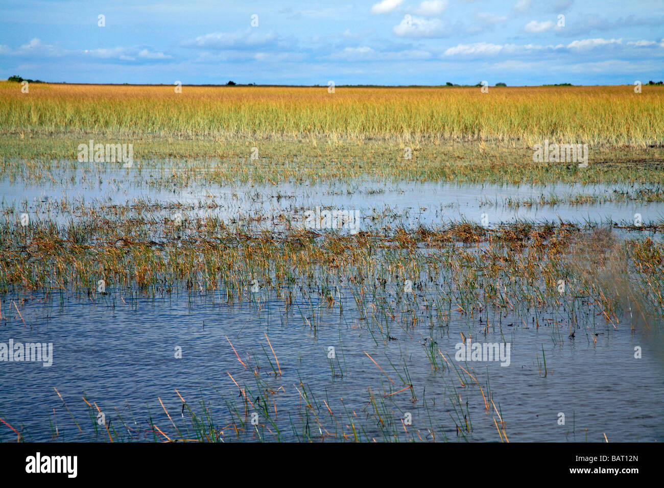 Tiere, Vögel und Touristen in Florida Everglades, USA, Nordamerika ...