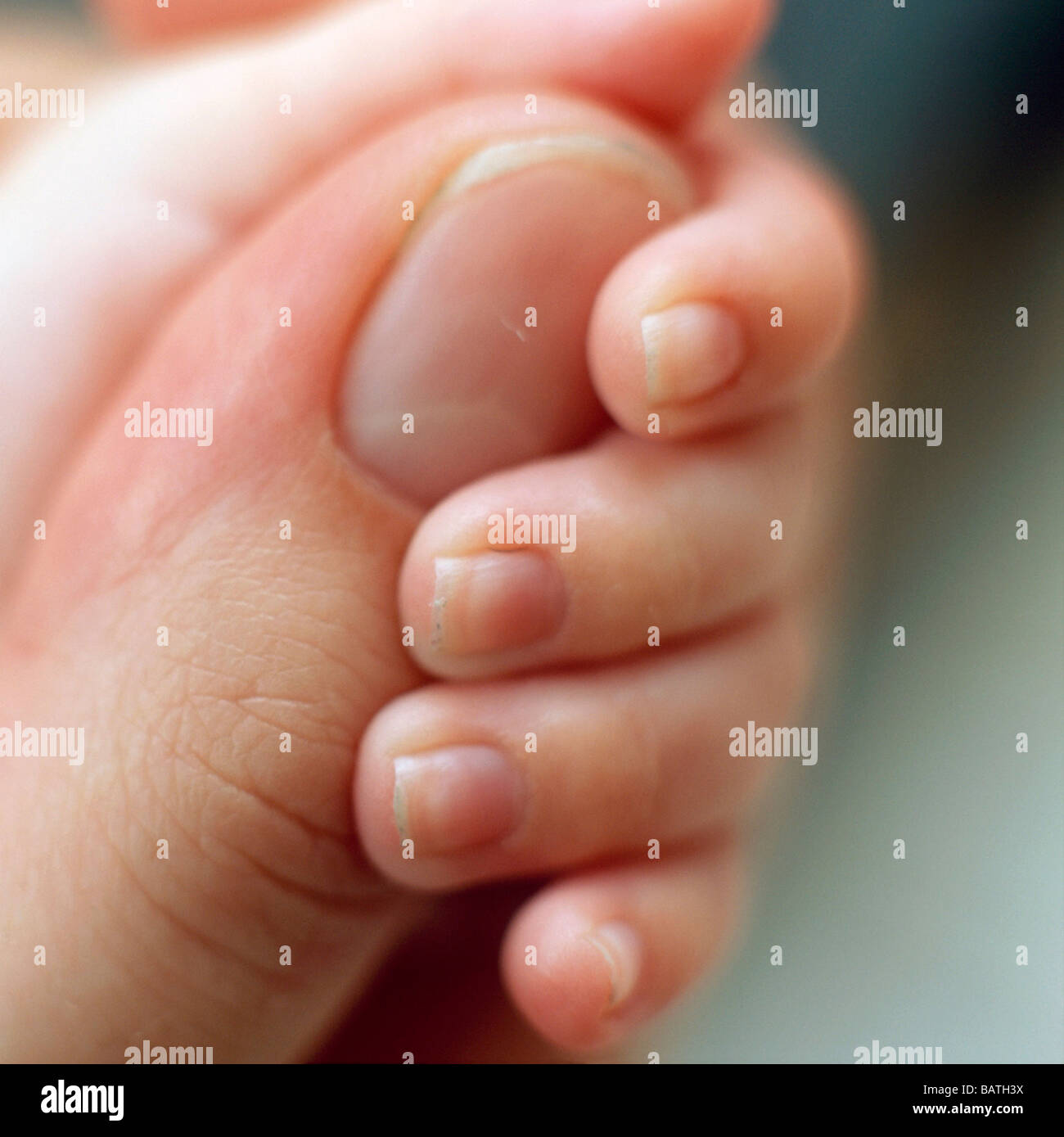 Baby hand grabbing woman finger -Fotos und -Bildmaterial in hoher ...