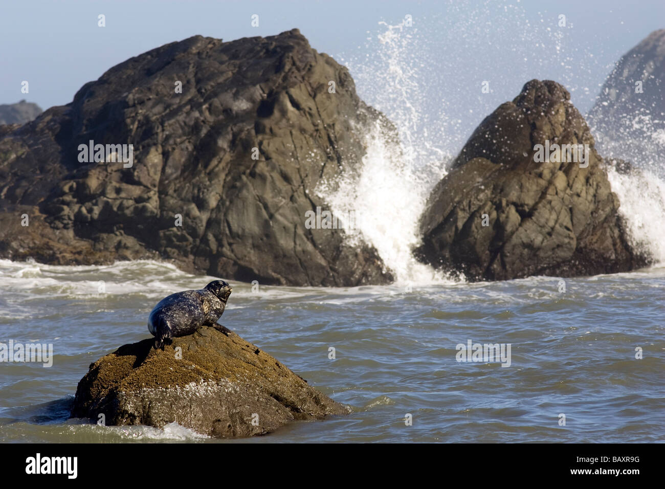 Sue meg state park -Fotos und -Bildmaterial in hoher Auflösung – Alamy