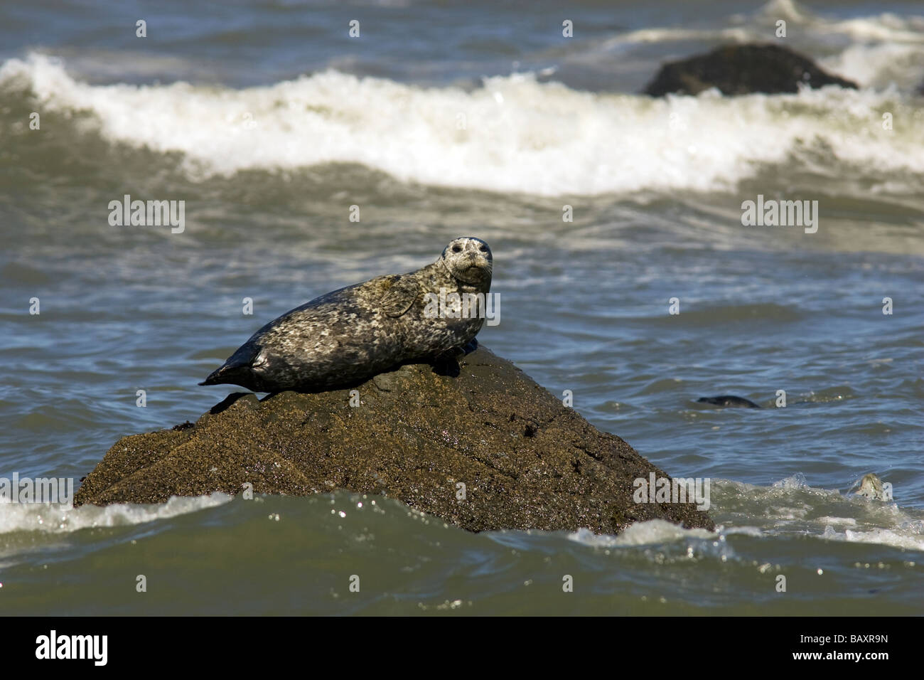 Sue meg state park -Fotos und -Bildmaterial in hoher Auflösung – Alamy