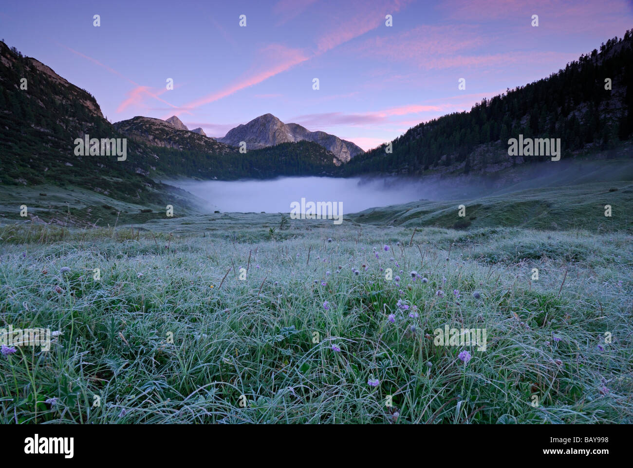 Nebelbank über See Funtensee, Berchtesgaden Bereich, Nationalpark ...