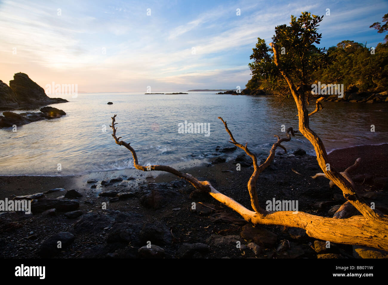 Neuseeland nordinsel strand Stockfotos und -bilder Kaufen - Alamy