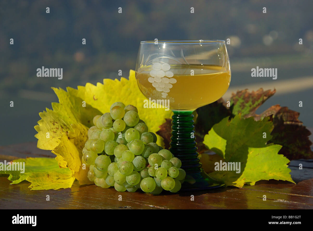 Federweißer neuer Wein 12 Stockfotografie - Alamy