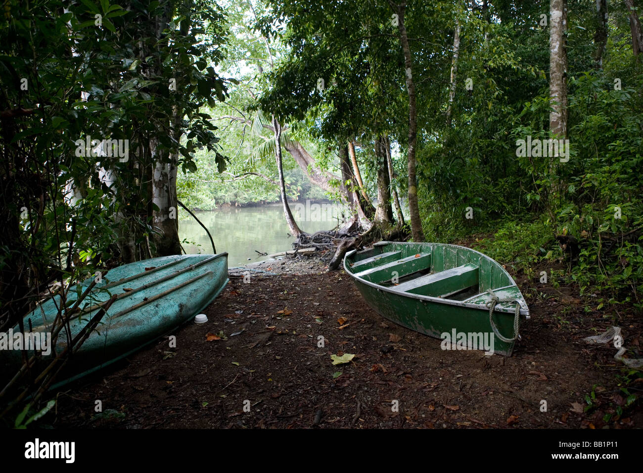 Bei der Sirena Ranger Station in Corcovado Nationalpark, Costa RIca ...