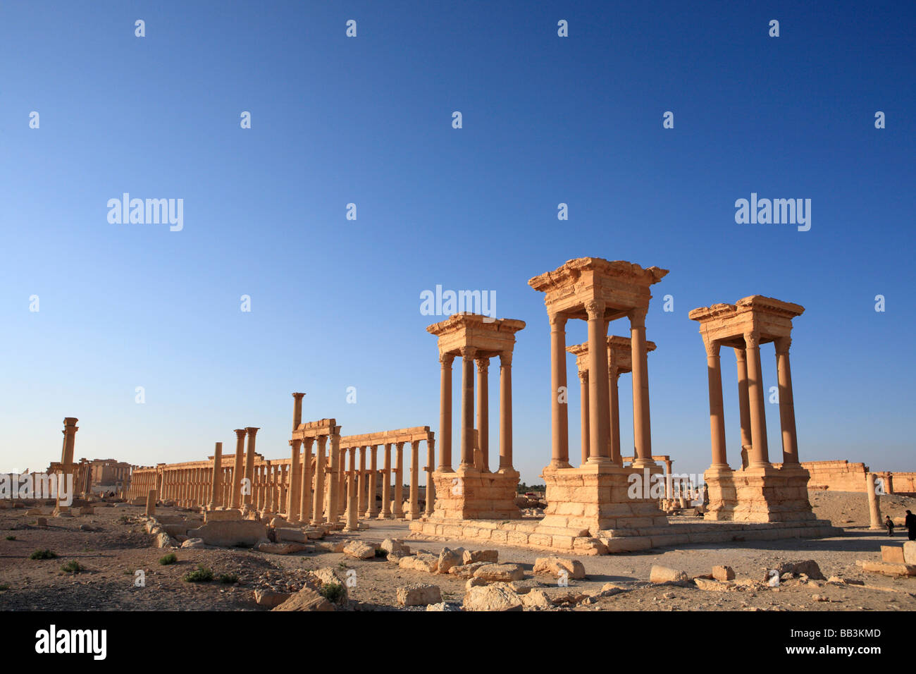 Standort von palmyra -Fotos und -Bildmaterial in hoher Auflösung – Alamy