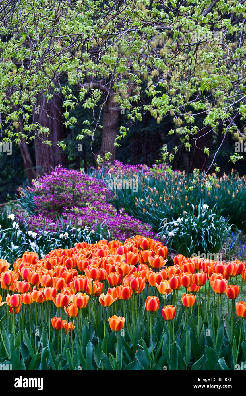 Ohio landschaftlich -Fotos und -Bildmaterial in hoher Auflösung – Alamy