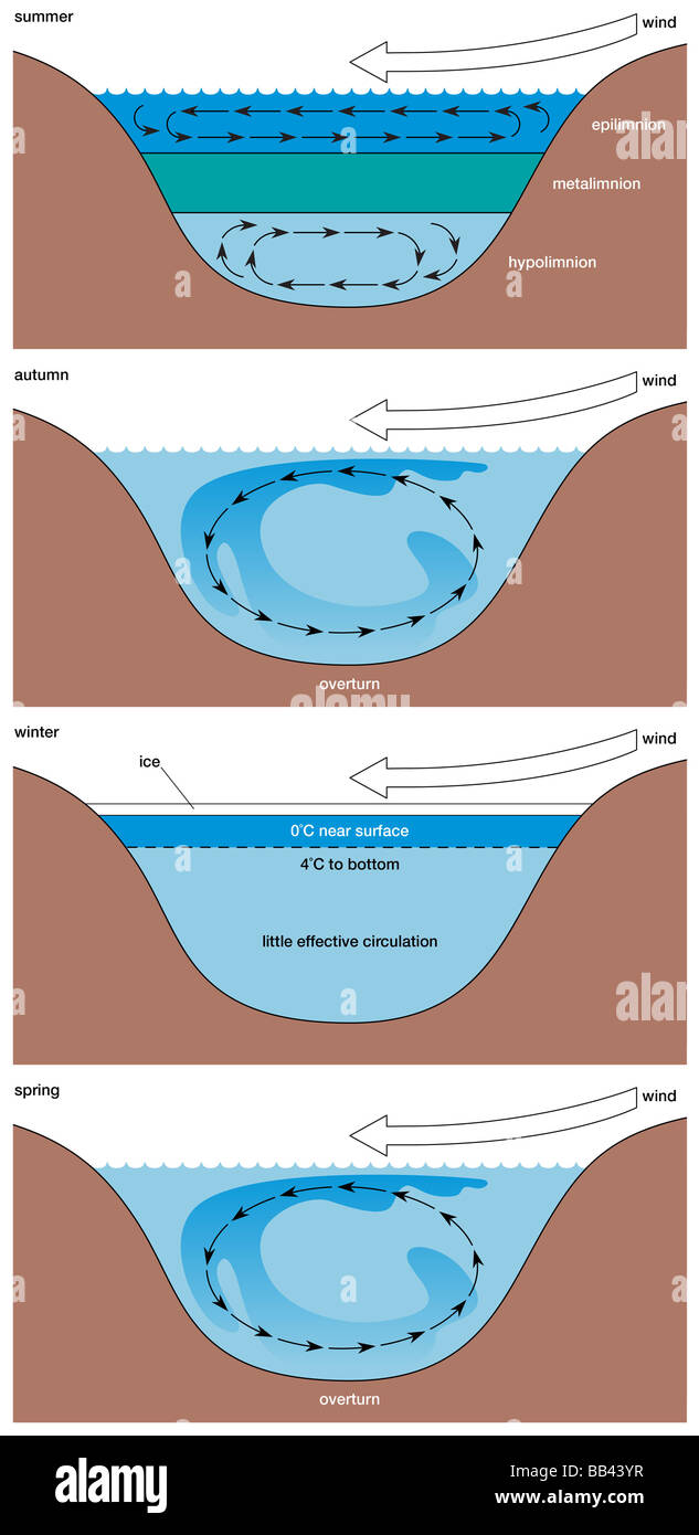Schichten Des Sonnendiagramms