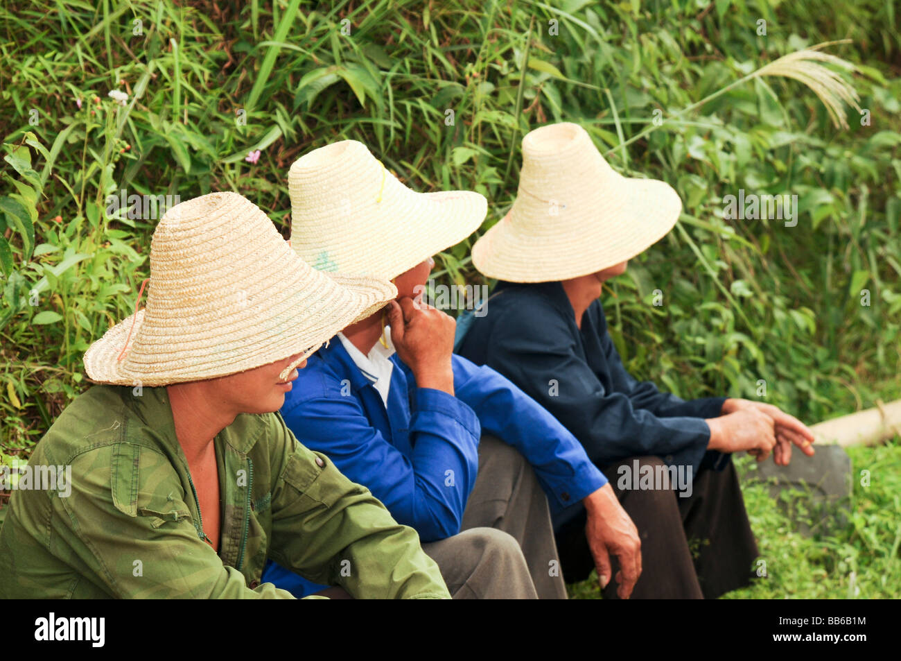Chinese Farmers Work In Rice Stockfotos und -bilder Kaufen - Seite 2 ...