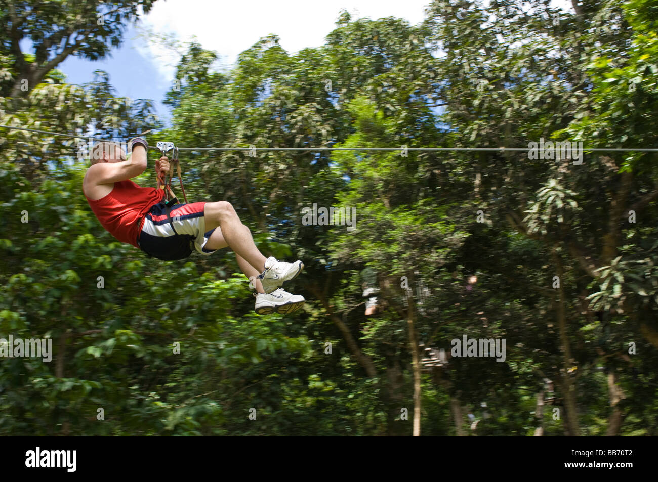 Canopy Walk und zip-Futter Loterie Farm St. Martin St. Maarten ...