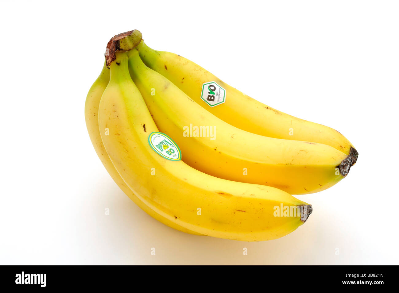 Bananen anbau -Fotos und -Bildmaterial in hoher Auflösung – Alamy