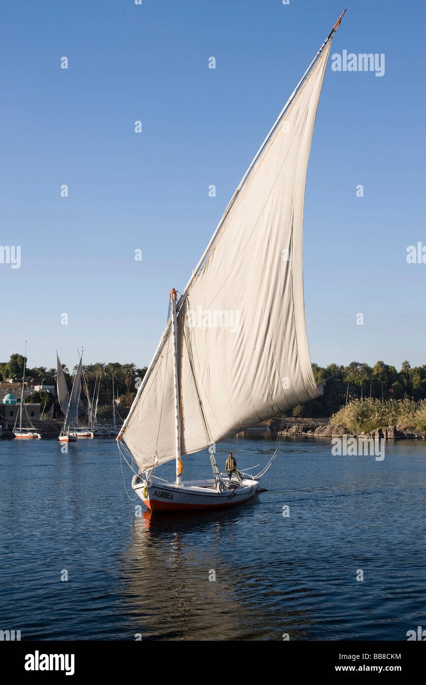 Segelboot felucca auf dem nil -Fotos und -Bildmaterial in hoher ...