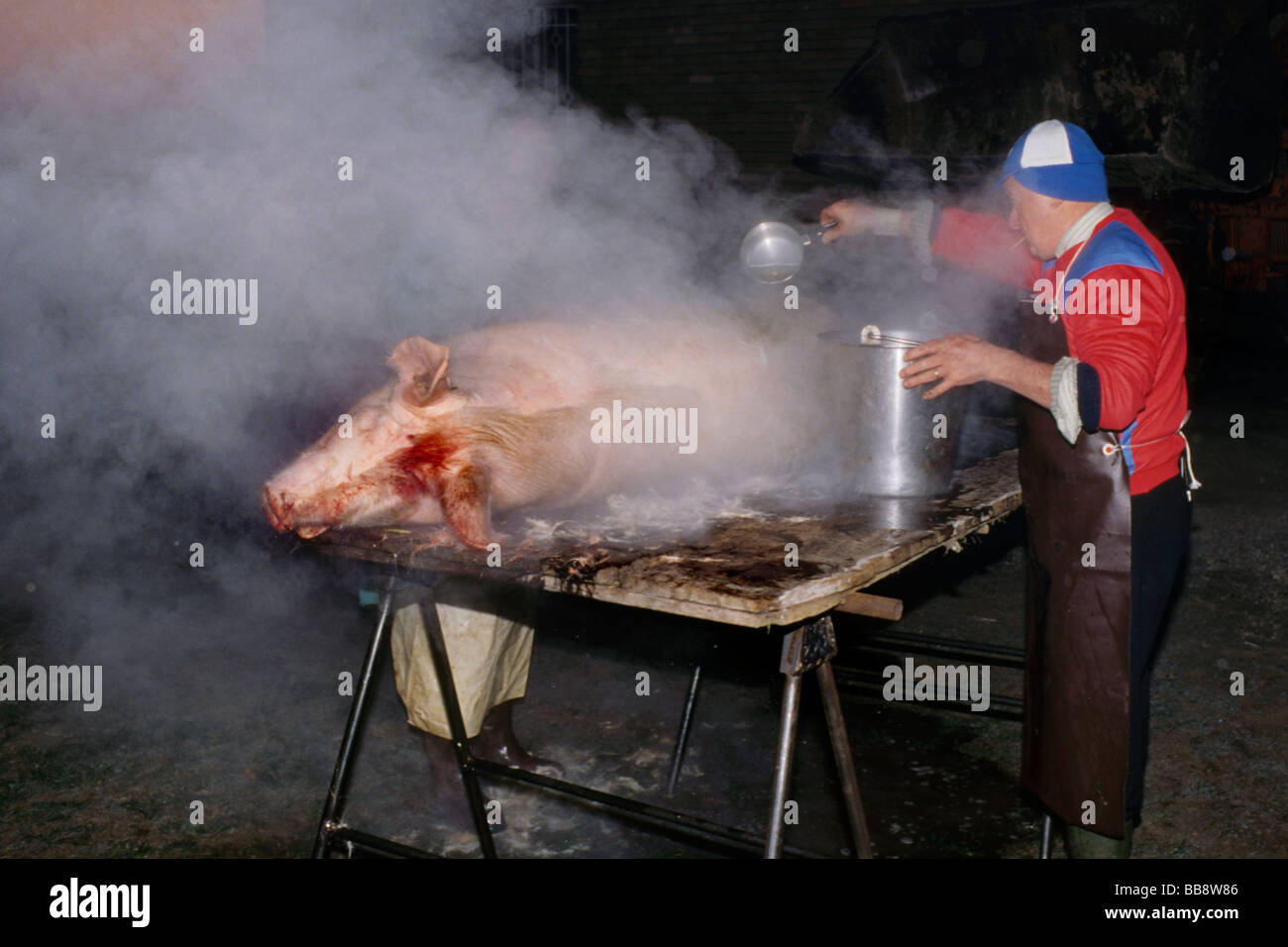Schlachten schwein -Fotos und -Bildmaterial in hoher Auflösung – Alamy