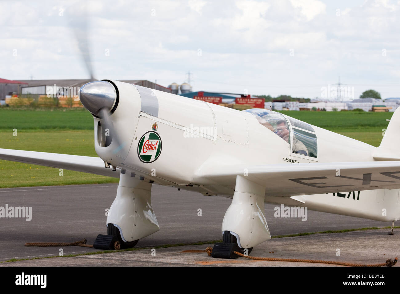 Percival mew gull g aexf -Fotos und -Bildmaterial in hoher Auflösung ...