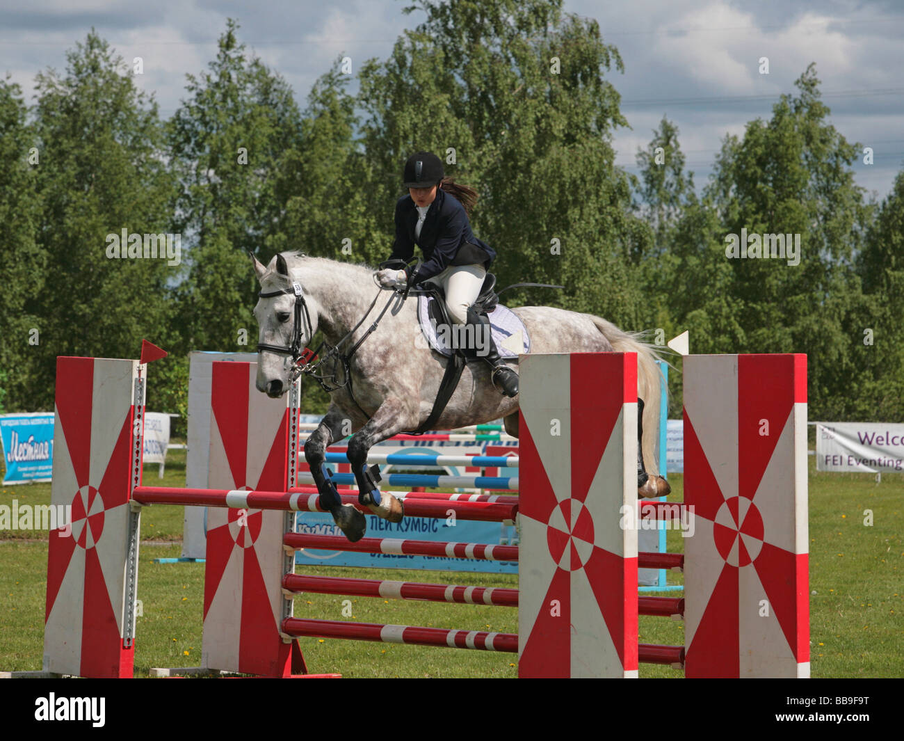 Gras grasendes pferd des reitgrases -Fotos und -Bildmaterial in hoher ...