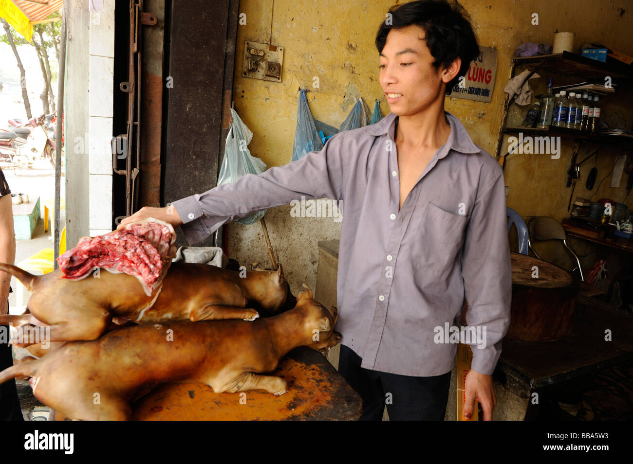 Thit Cho Stockfotos und -bilder Kaufen - Alamy