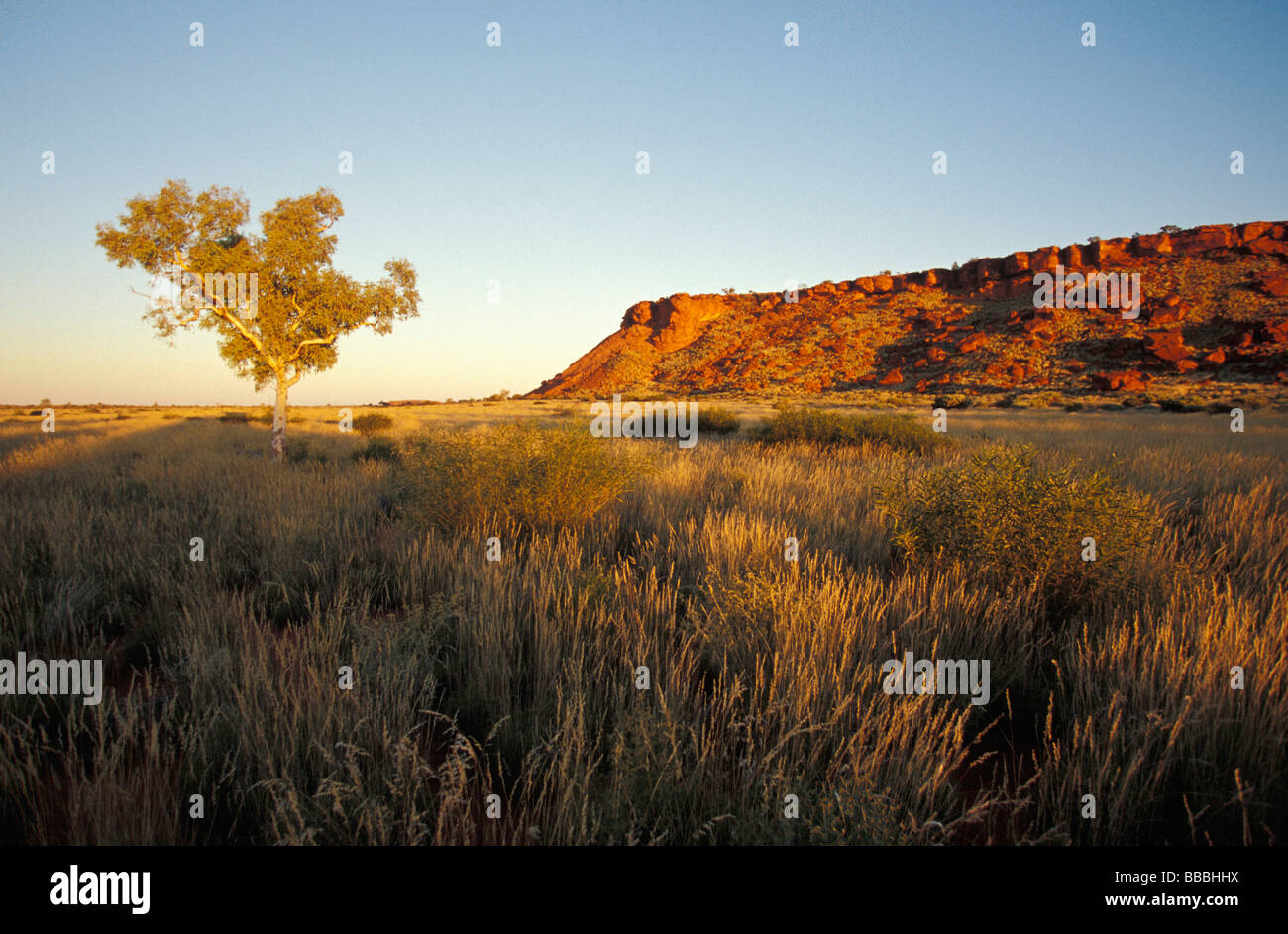 Little sandy desert australia -Fotos und -Bildmaterial in hoher ...